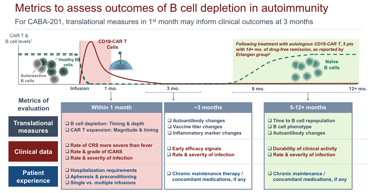 Cabaletta Bio: Next Data Readout Needs To Be Mic Drop Moment (NASDAQ ...