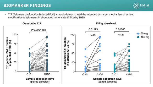 Recent Run-Up Provides MAIA Biotechnology With Breathing Room (NYSE ...