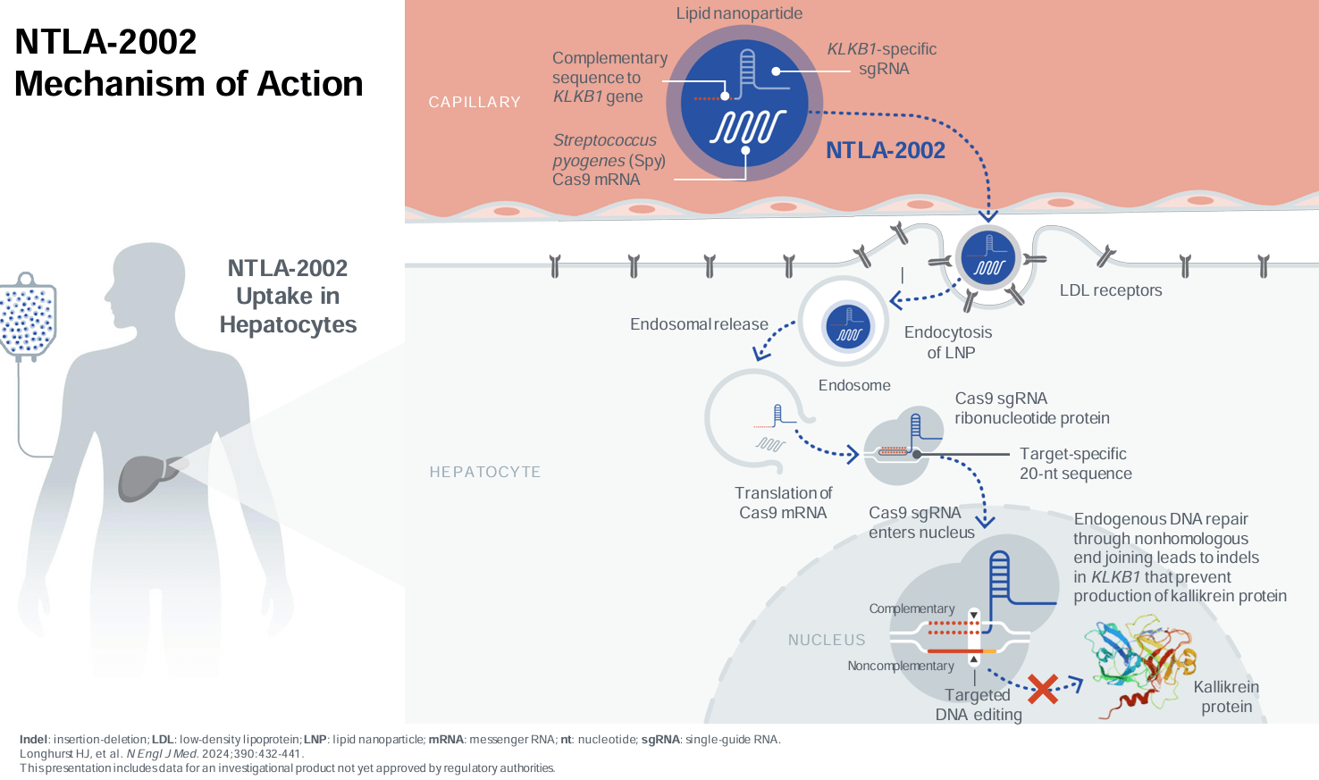 Intellia Therapeutics Presents Promising In Vivo CRISPR Results (NASDAQ:NTLA) | Seeking Alpha