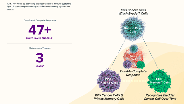 ImmunityBio: Anktiva’s Launch Demands A Reassessment (NASDAQ:IBRX ...