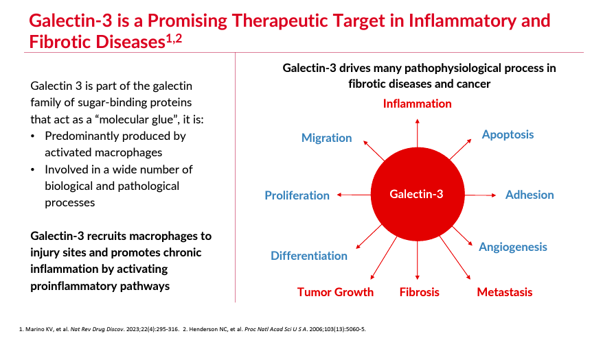 Galectin Therapeutics: Neutral On Belapectin For NASH Cirrhosis Amid ...