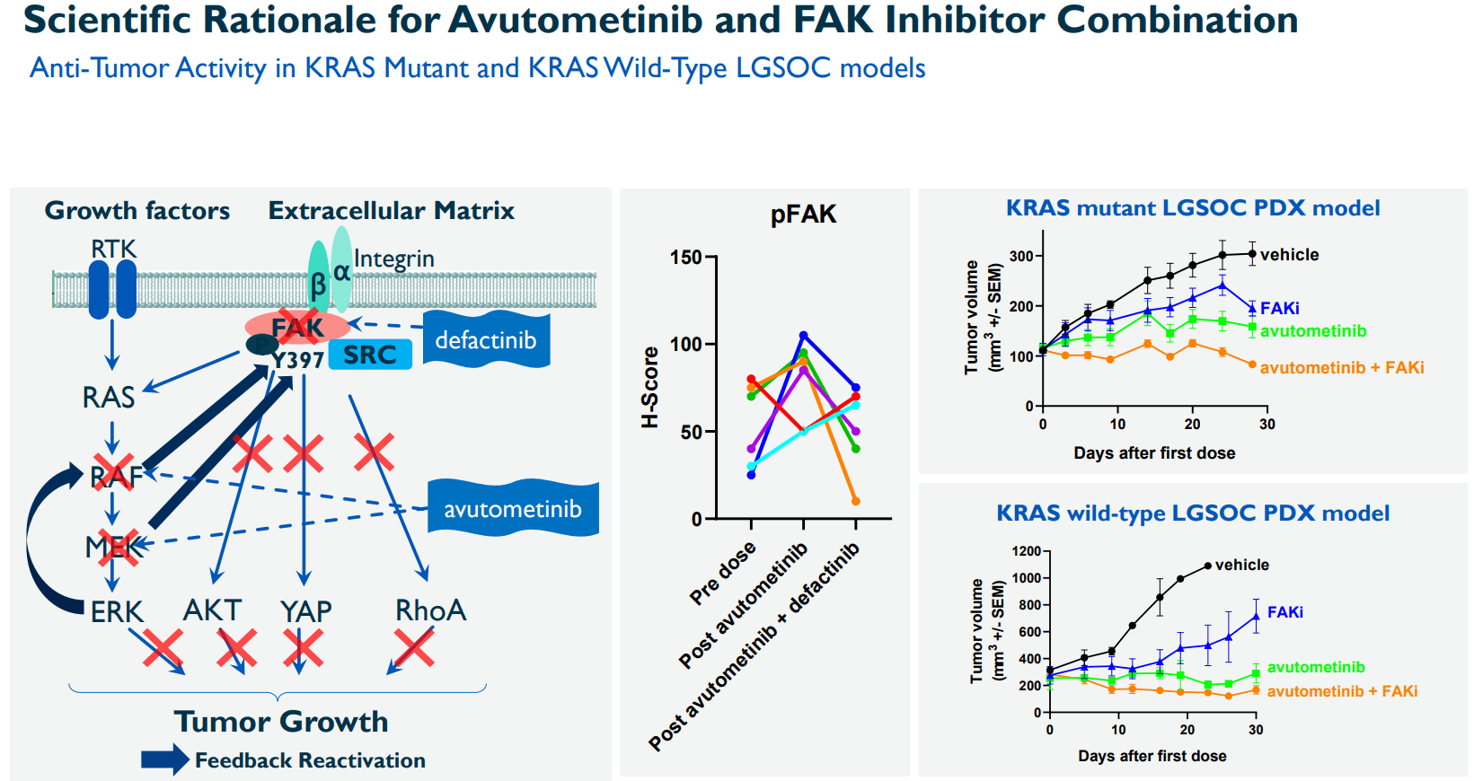 Verastem: Market Overreaction Creates A Dip Buying Opportunity (NASDAQ ...