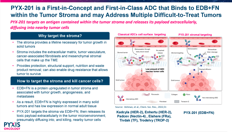 Pyxis Oncology: Promising Research Amid Cash Constraints (NASDAQ:PYXS ...