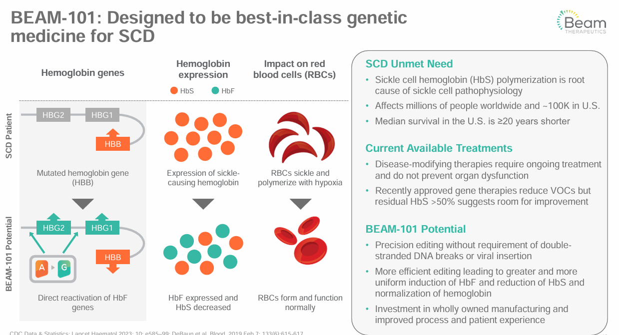 Beam Therapeutics: Slow Developmental Progress, But Promising Potential ...