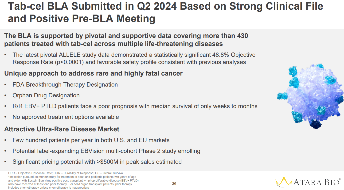 Atara Stock: Contender In Autoimmune Diseases CAR-T Cell Therapy ...