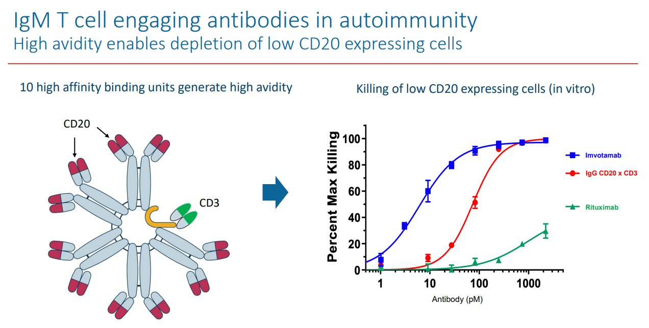 IGM Biosciences: Waiting For Godot (NASDAQ:IGMS) | Seeking Alpha