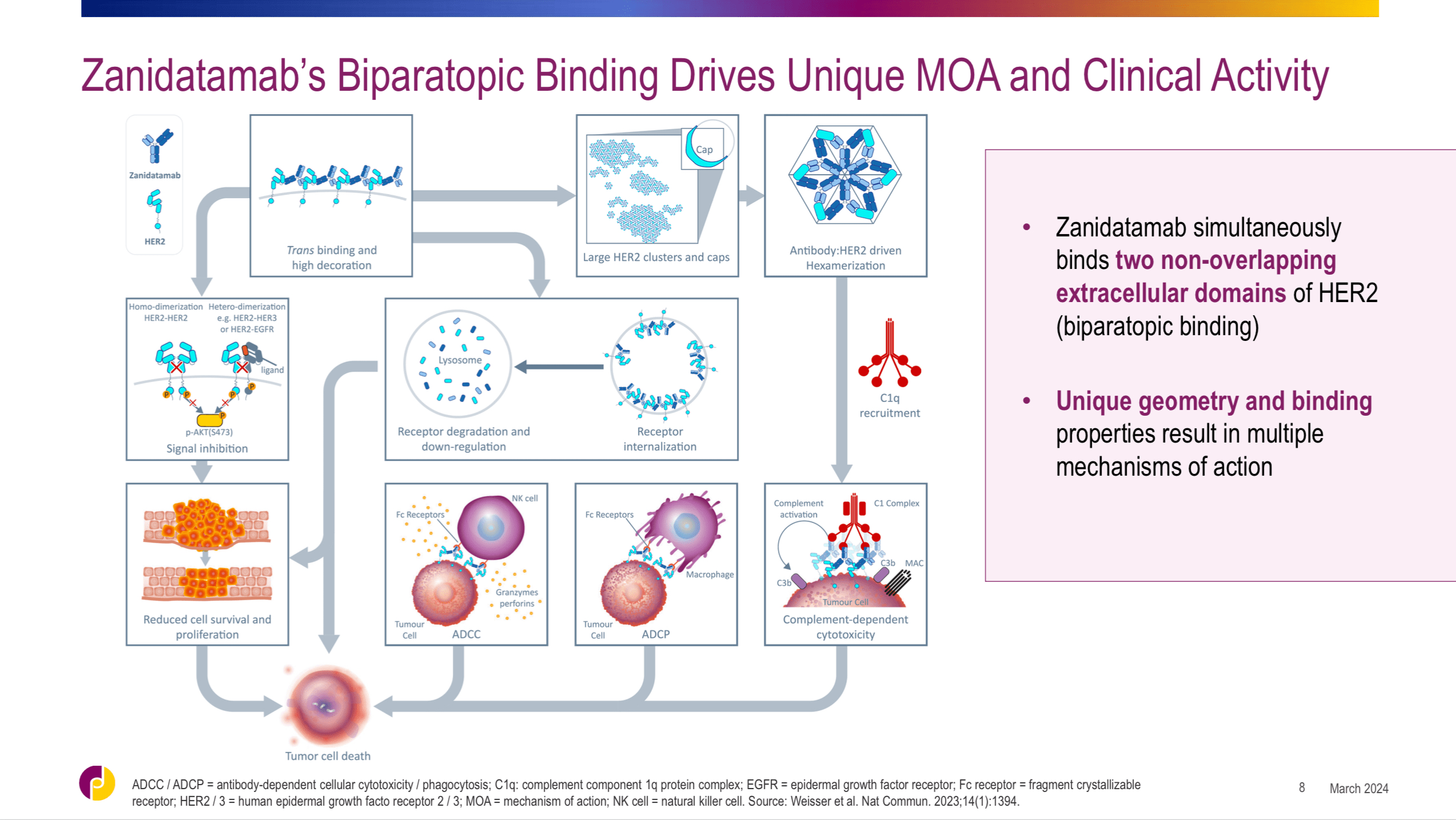 Jazz Pharmaceuticals: Zanidatamab Is A Potential Growth Catalyst (JAZZ) | Seeking Alpha