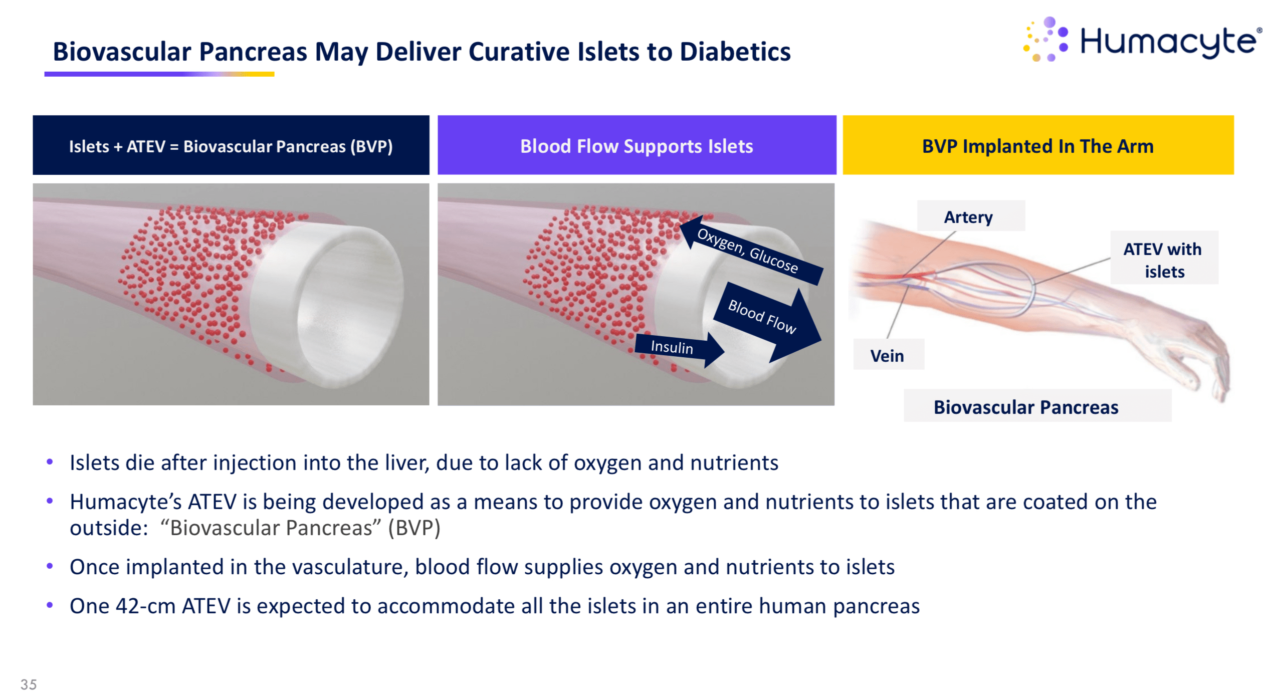 Humacyte: Navigating The FDA Uncertainty And ATEV’s Potential (NASDAQ ...
