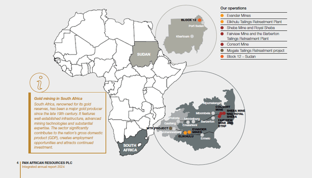 Pan African Resources: The Overlooked Jewel In Africa's Mining Crown ...