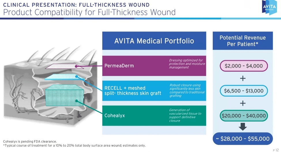AVITA Medical Just Tripled Its TAM In The Burn Market (NASDAQ:RCEL ...