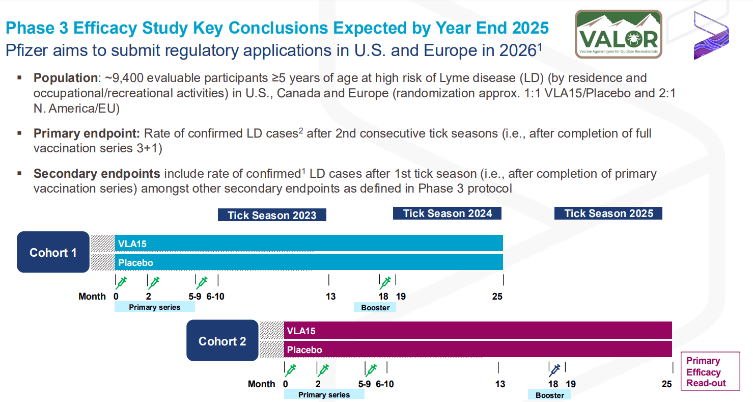 Valneva Is A 'Buy' As A First-Mover In Chikungunya (NASDAQ:VALN ...