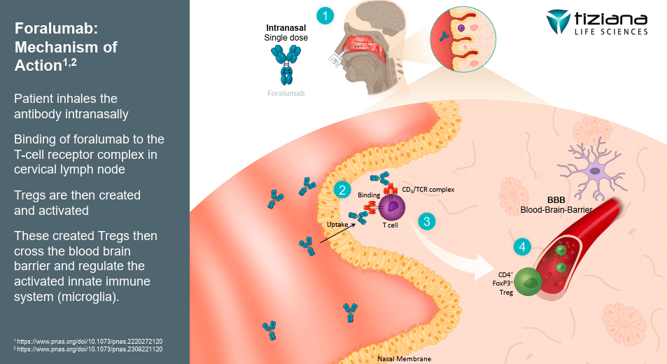 Tiziana Life Sciences: Foralumab's Intranasal Push Is A Good Moonshot ...