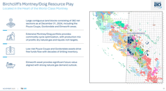 Birchcliff Energy: Still Has Some Gas In The Tank (BIREF) | Seeking Alpha