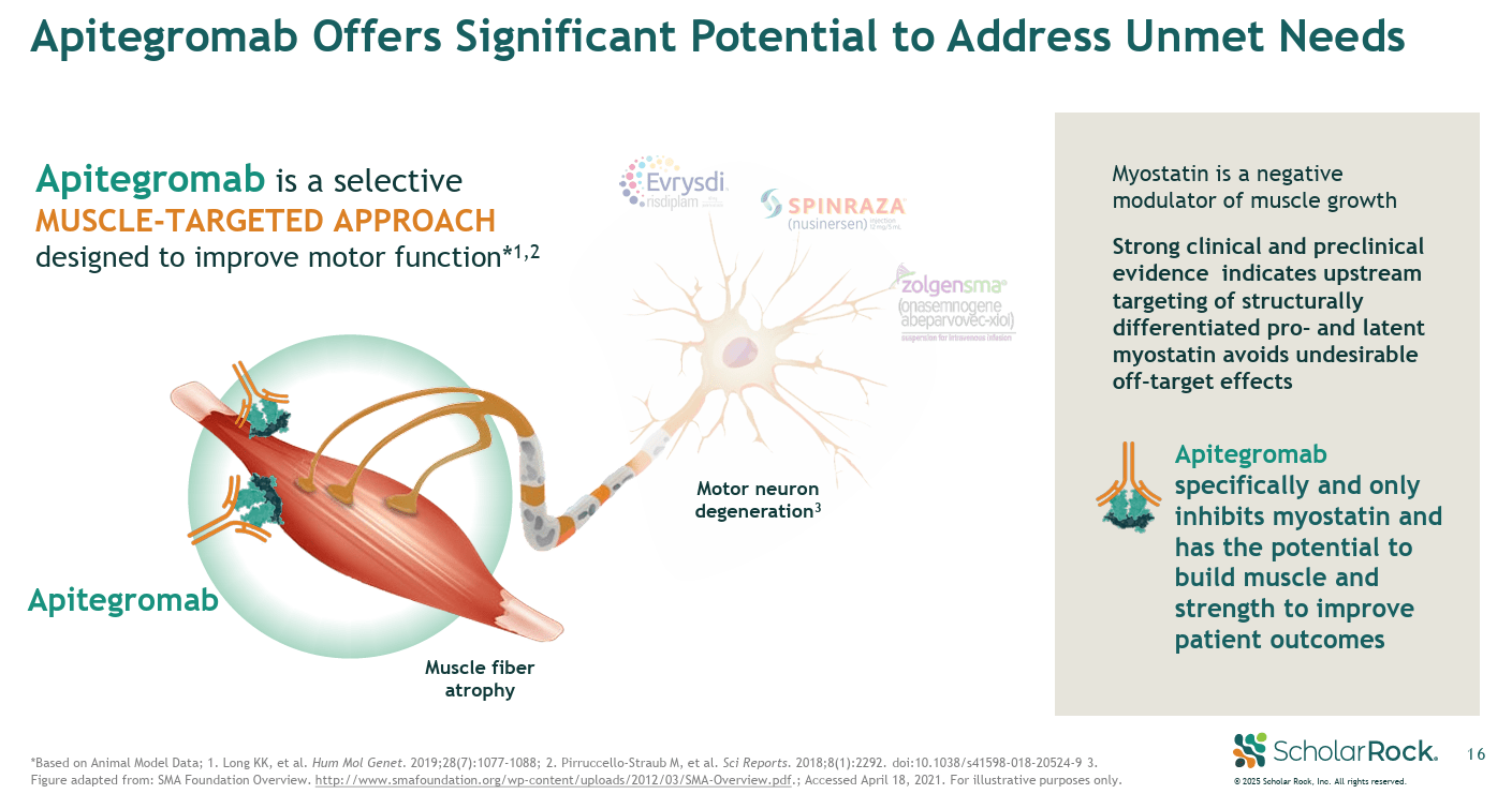 Scholar Rock: De-Risked Biotech, Playing The Approval Catalyst (Buy ...