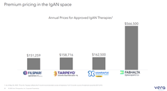 Vera Therapeutics: Stock Rises As IgAN Approval Chances Increase - I'm On Sidelines (VERA ...