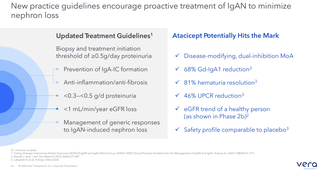 Vera Therapeutics: Stock Rises As IgAN Approval Chances Increase - I'm On Sidelines (VERA ...