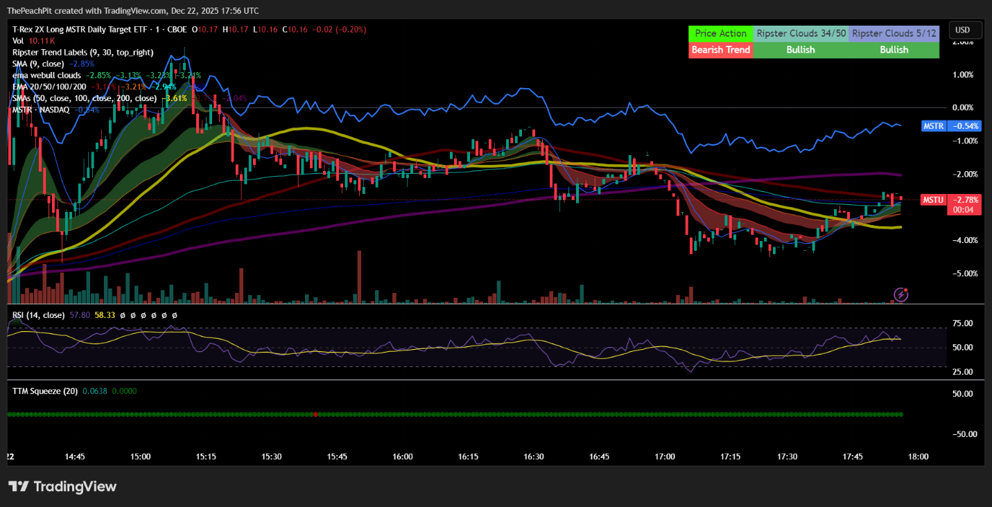 MSTU Exposes Investors To More Leverage Than Expected (BATS:MSTU ...