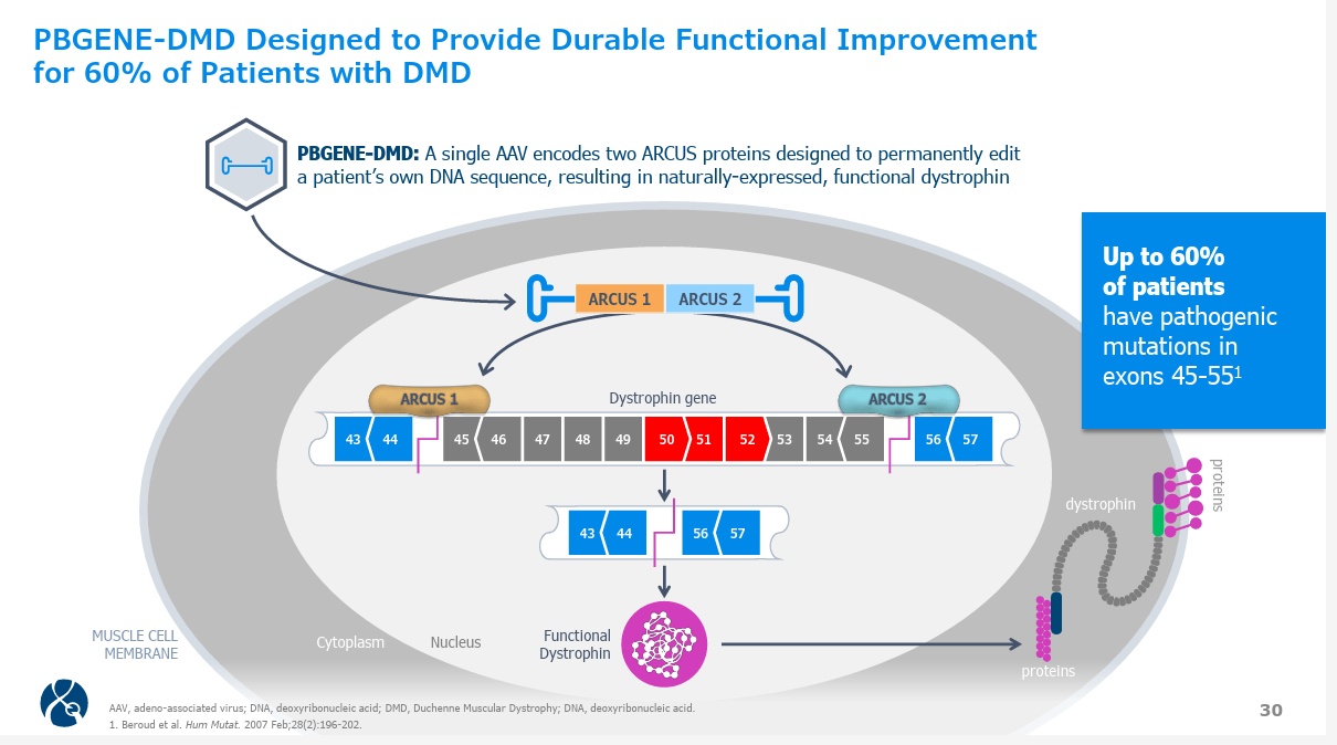 Precision BioSciences: Potential Proof-Of-Concept Data For HBV Cure In ...