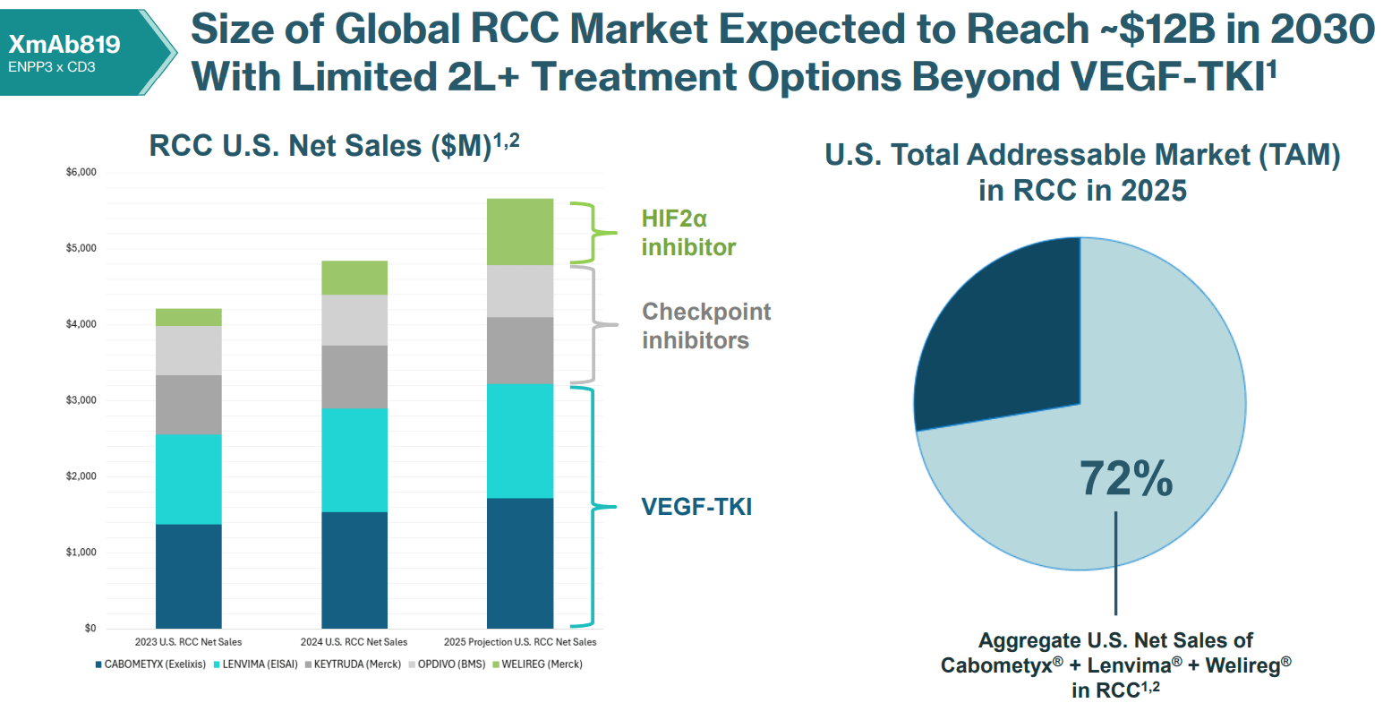 Xencor: Fortress Balance Sheet Bodes Well For XmAb819 And XmAb942 ...