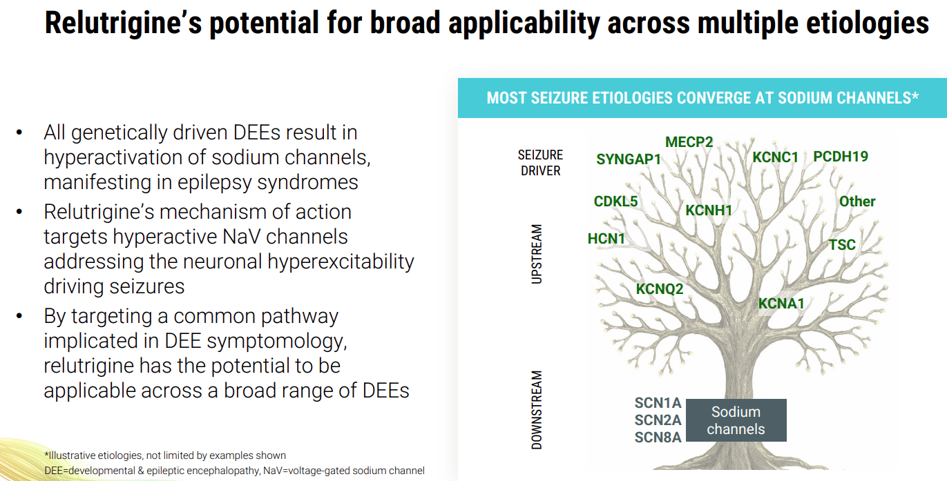 Praxis Precision Medicines: Latest Study Wins Sets Up 2 CNS Drug ...