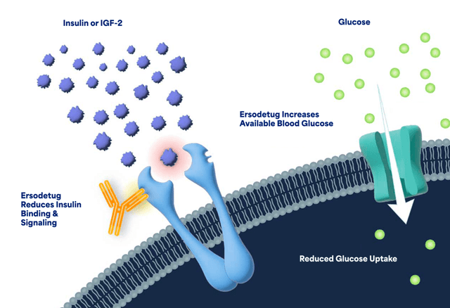 Rezolute: sunRIZE And upLIFT Trials Could Drive The Next Move (NASDAQ ...