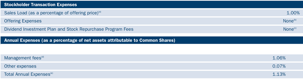 STK: For GARP Tech Stocks (NYSE:STK) | Seeking Alpha