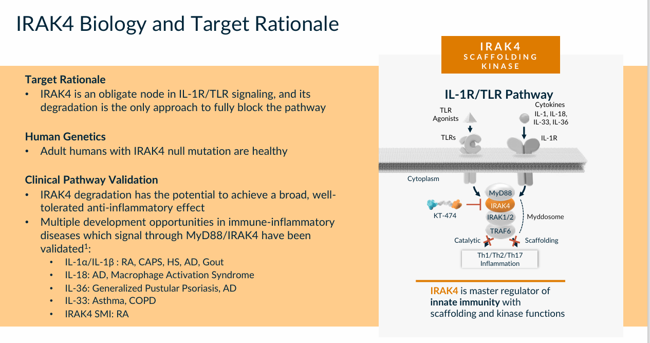 Kymera Therapeutics: Plenty Of Potential, But A Long Way From The ...