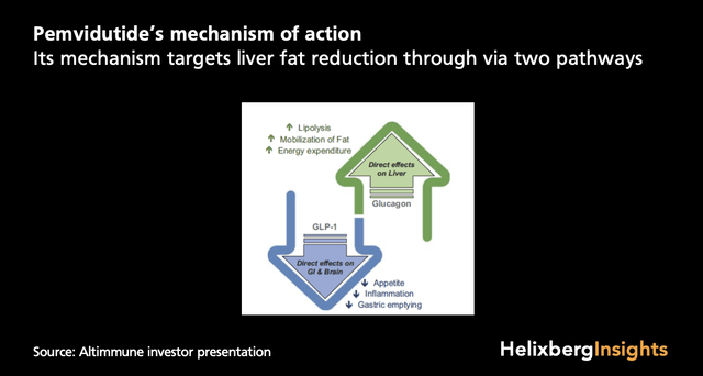 Altimmune's Catalytic Moment In 2025: Pemvidutide's Phase 2b Trial In ...