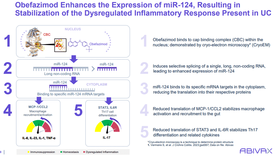 Abivax Stock: Good Entry Point Ahead Of The Mega Catalyst - Phase 3 ...