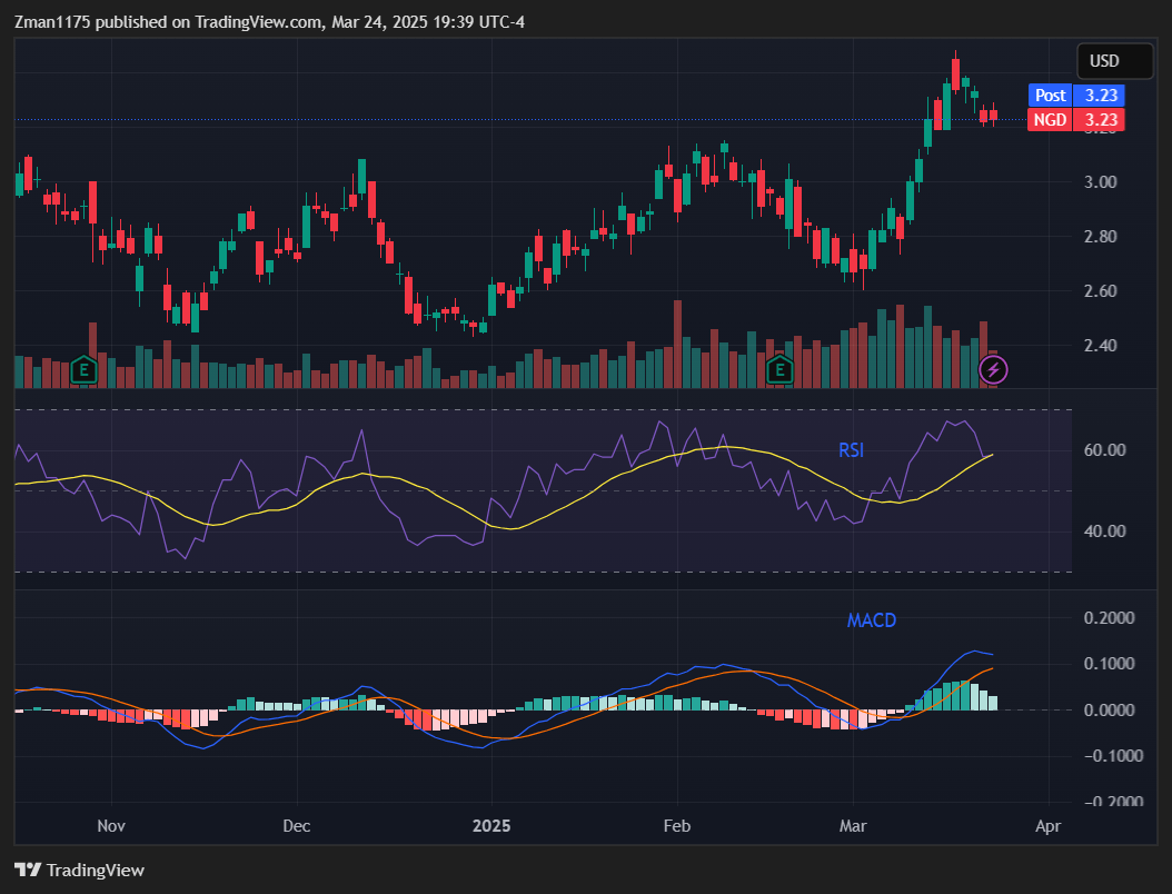 New Gold Stock: Production And Margin Increases Continue (NYSE:NGD ...