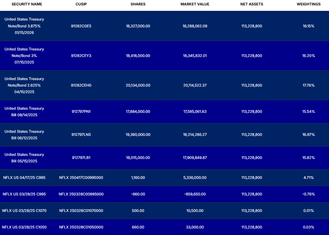 NFLY: YieldMax Does It Again (NYSEARCA:NFLY) | Seeking Alpha