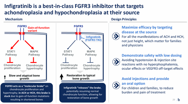 The Play On BridgeBio Pharma: Great Expectations For Attruby (NASDAQ ...