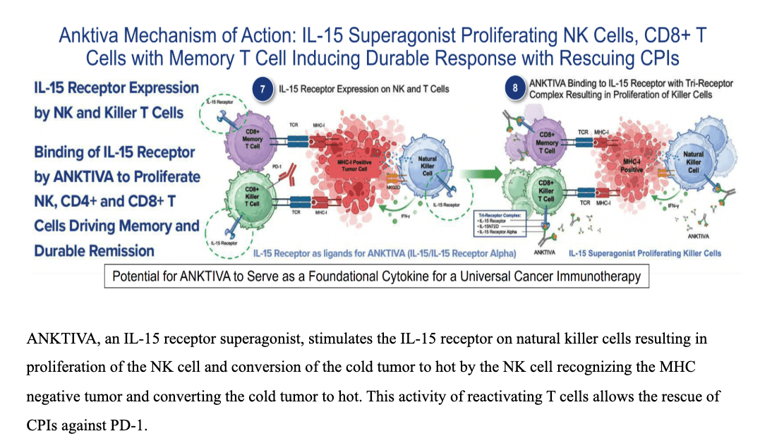 ImmunityBio Q1 Earnings Preview: I Fear A Selloff, But Am Long-Term ...