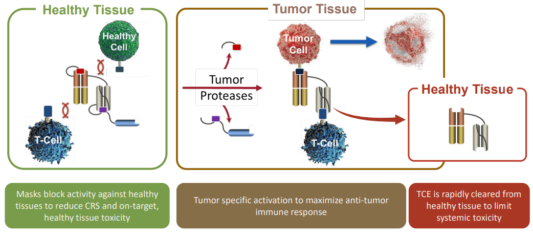 Janux Therapeutics: What's My Inflection Point? (NASDAQ:JANX) | Seeking ...
