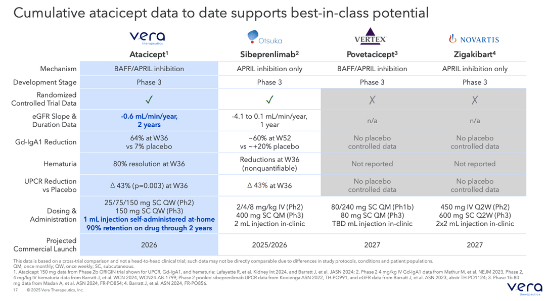 Vera Therapeutics: Huge Catalyst Upcoming For Kidney Disease Drug ...