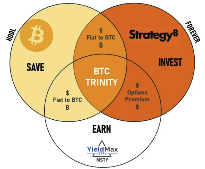 MSTY ETF: Harnessing Strategy's Bitcoin-Driven Volatility For High-Yield Income | Seeking Alpha