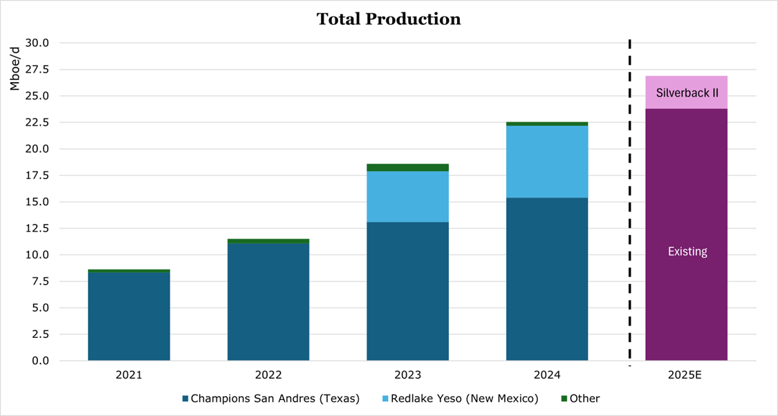 Riley Stock Takes Advantage Of Low Valuations To Build Asset Base (NYSE ...