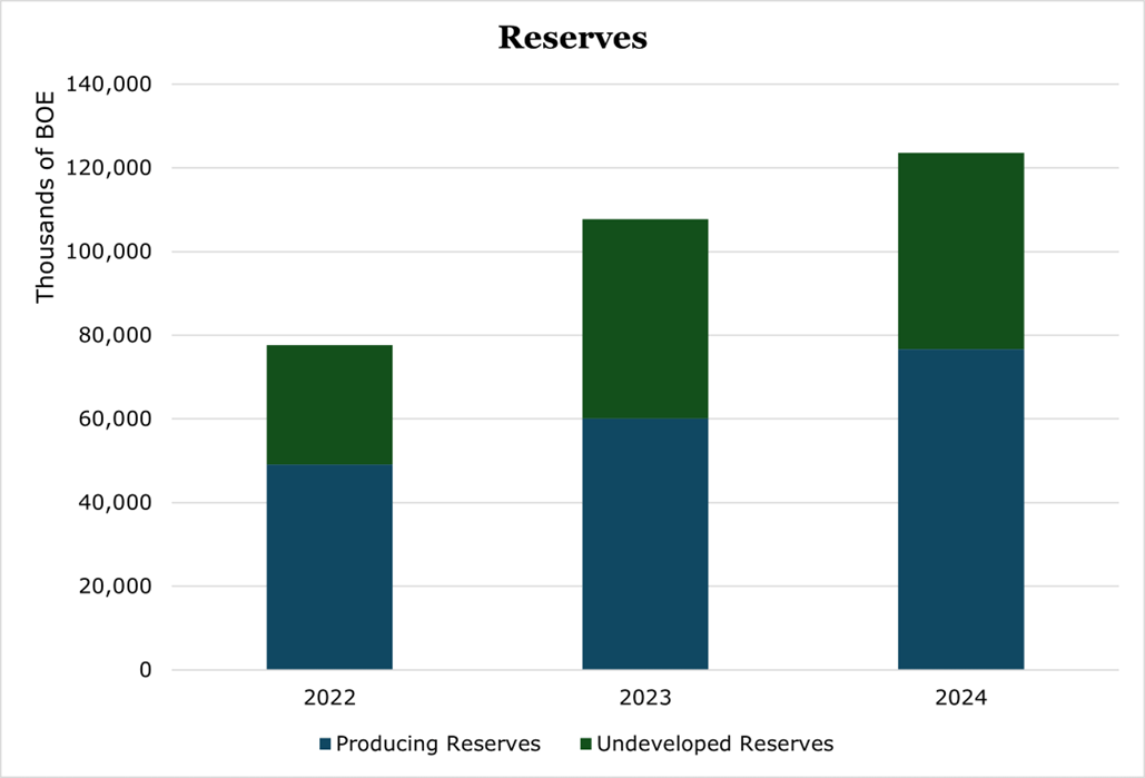 Riley Stock Takes Advantage Of Low Valuations To Build Asset Base (NYSE ...
