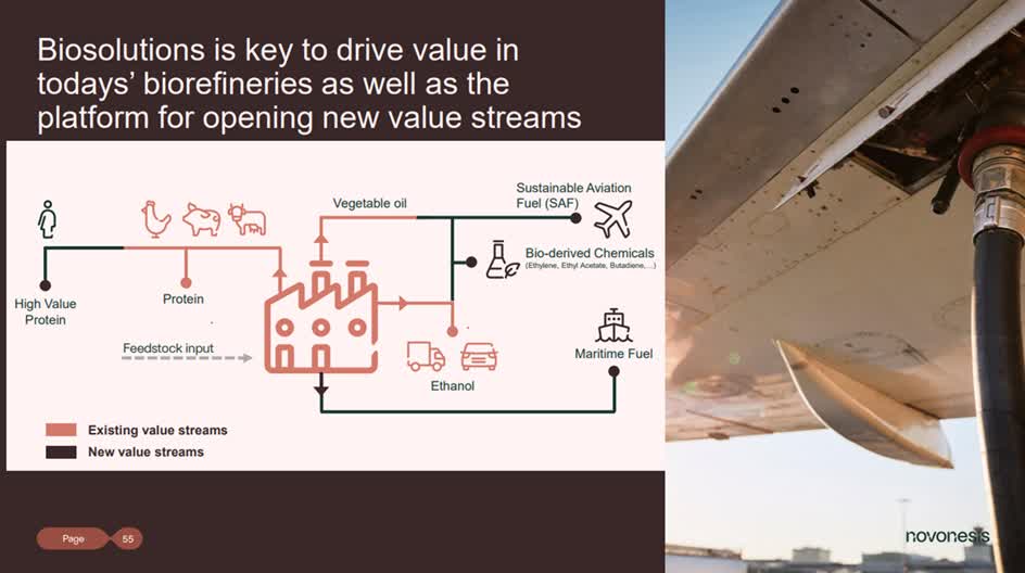 Novonesis Stock: Industry Leader With Defensive Characteristics And ...