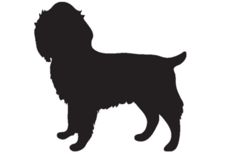 Dogs Of The S&P 500 Fetch 11 June 'Safer' Dividend Buys | Seeking Alpha