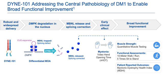 Dyne Therapeutics: Emergence As A Superior DM1/DMD Player Warrants ...