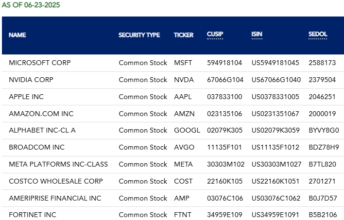 FLCG: Why I Believe This Active Large-Cap Growth ETF Will Succeed ...