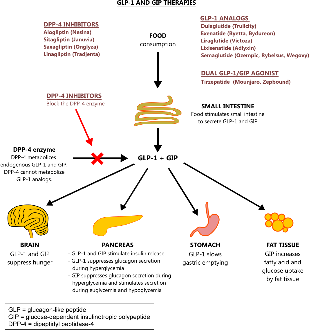 Starbucks Has A GLP-1 Problem | Seeking Alpha