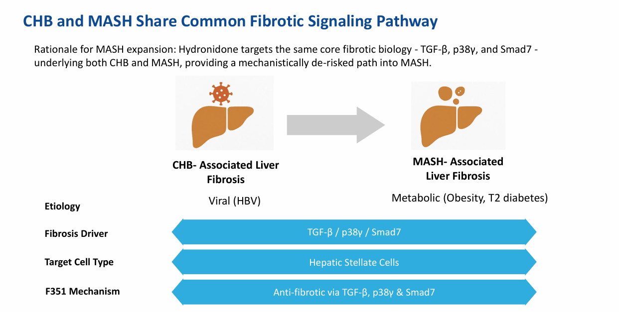 Gyre Therapeutics: Unique Business Model, Unique Challenges (NASDAQ ...