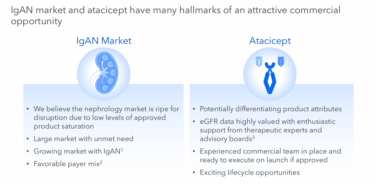 Behind The Volatility Of Vera Therapeutics (NASDAQ:VERA) | Seeking Alpha