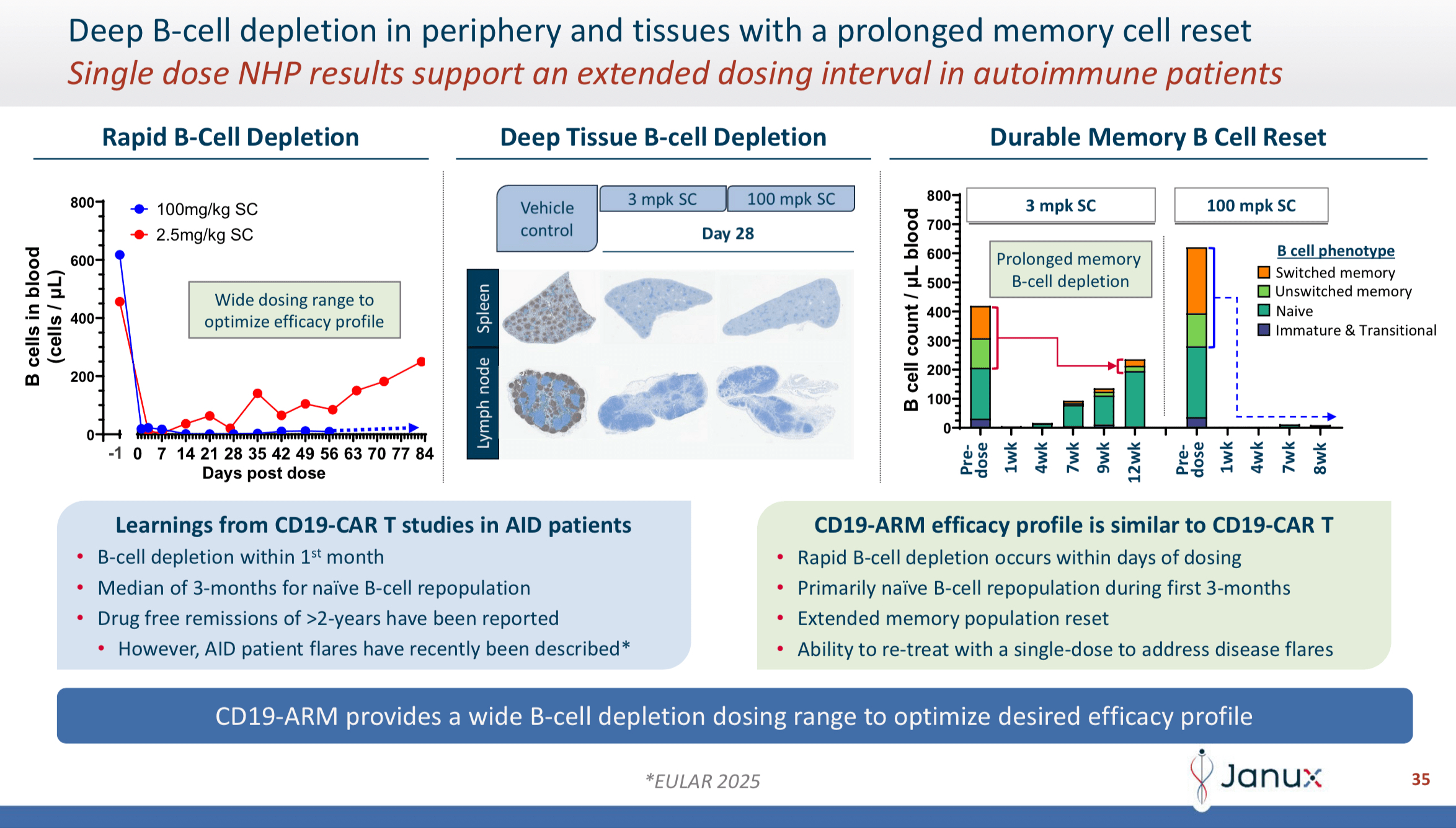 Janux Stock: A High-Risk/High-Reward Bet On Oncology And Autoimmune ...