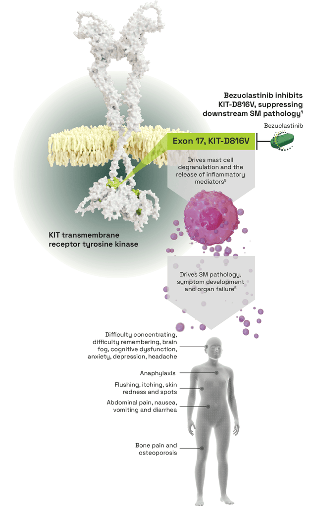 Cogent Biosciences: Moving Forward (NASDAQ:COGT) | Seeking Alpha