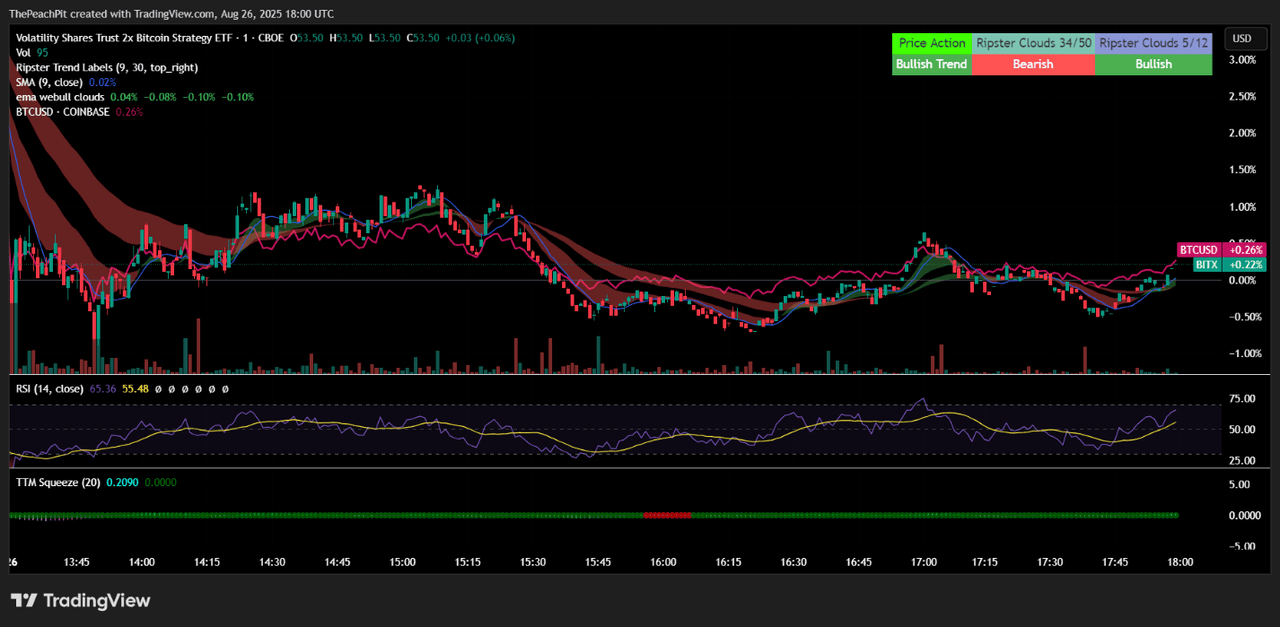 BITX ETF: Popular Leveraged Strategy On The Block (BATS:BITX) | Seeking ...