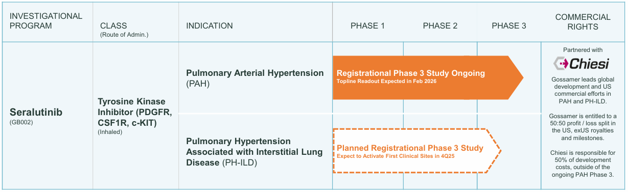 Gossamer Bio: A Critical Year Ahead (NASDAQ:GOSS) | Seeking Alpha
