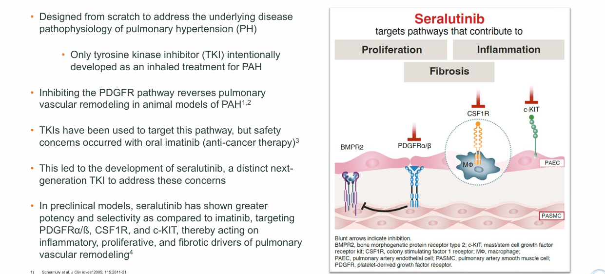 Gossamer Bio: A Critical Year Ahead (NASDAQ:GOSS) | Seeking Alpha